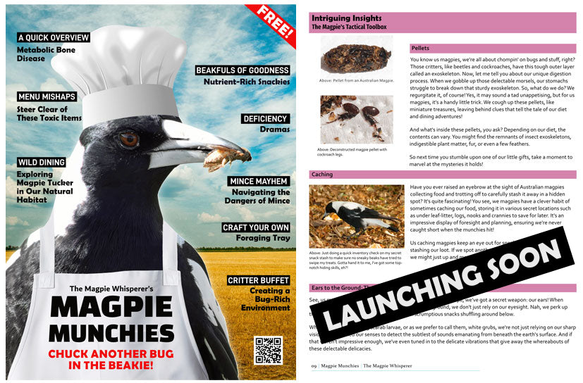 Magpie Munchies - FREE eBook Launching Soon! – The Magpie Whisperer