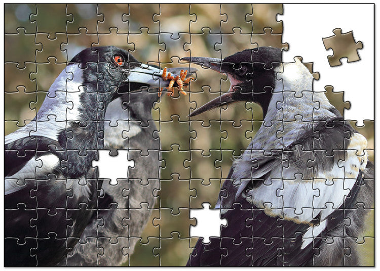 Feed Me Jigsaw – The Magpie Whisperer