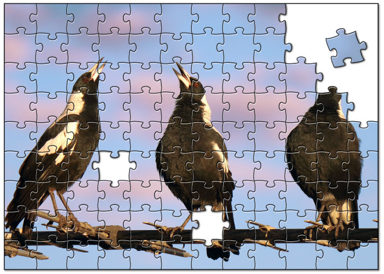 The Three Tenors Jigsaw – The Magpie Whisperer