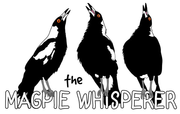 Australian Magpie Sounds - Listen or Download for Free – The Magpie ...